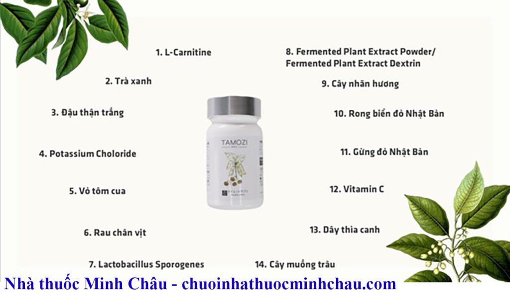 GIẢM CÂN NHẬT BẢN TAMOZI DIET GIẢI PHÁP GIẢM CÂN HIỆU QUẢ TỪ ĐẤT NƯỚC ...